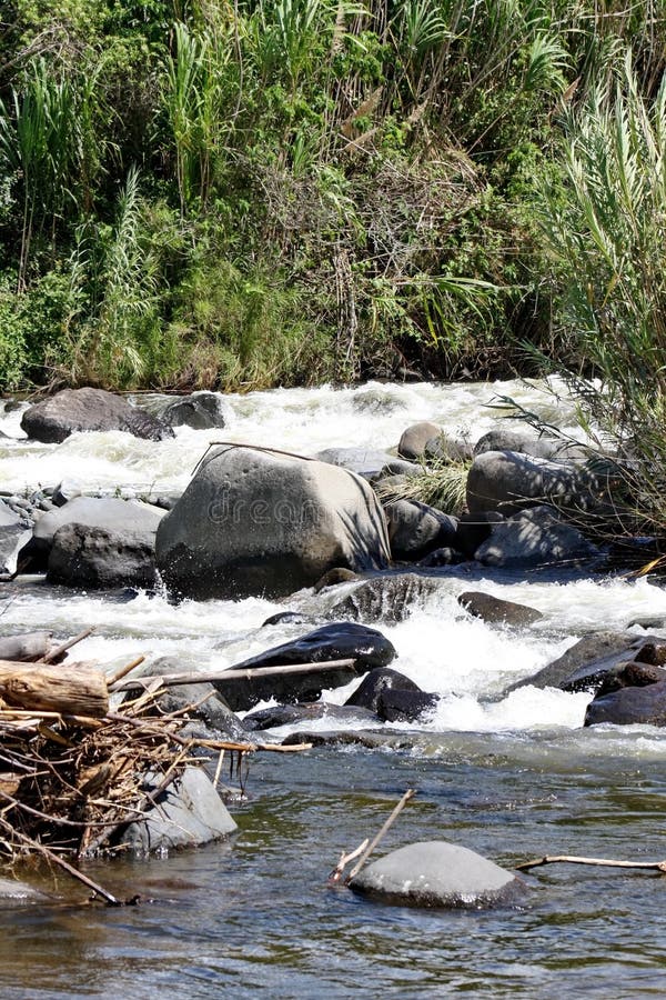 Stream Flowing through a Valley in Ecuador Stock Image - Image of ...