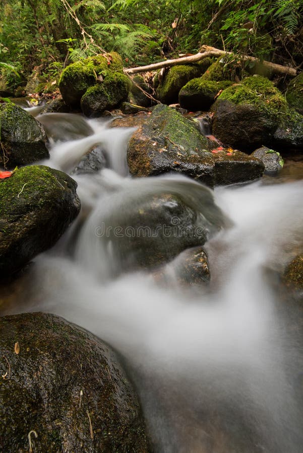 Stream Flowing Water Over Rocks Stock Photo - Image of flow, green ...