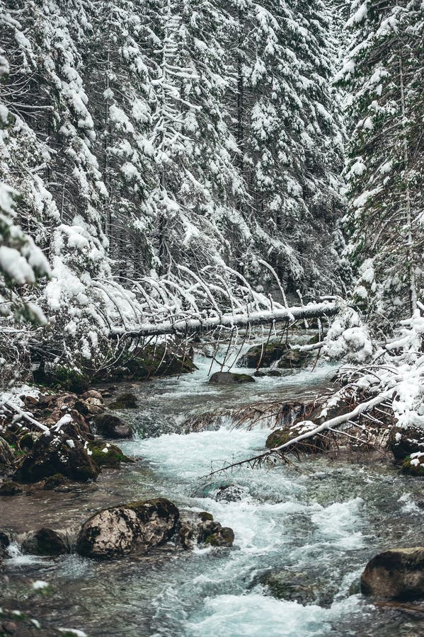 An Stream Flows Across a Winter Mountain Landscape with the Tumbled ...