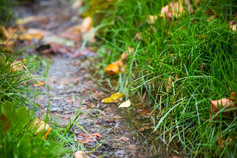 The Stream Flows through the Grass Stock Image - Image of blue, rural ...