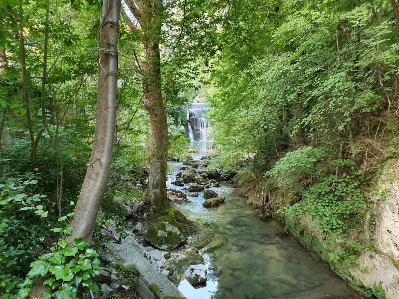 A Stream Flows through a Green Forest with Trees and Rocks Stock Image ...