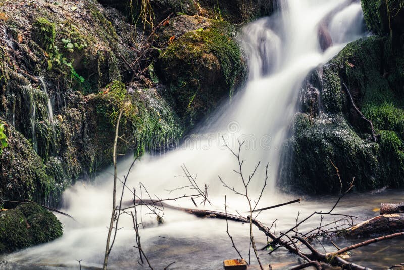 A Stream Flows Like a Waterfall Stock Image - Image of forest, outdoors ...