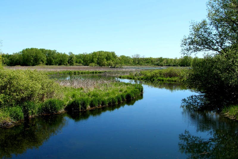 Landscape with Water stock photo. Image of meadow, trees - 113901996