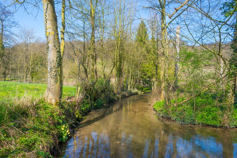 Stream Flows through a Meadow in Spring Stock Image - Image of flowing ...