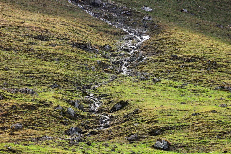 The Stream Flows from the Mountains through the Grass Stock Image ...