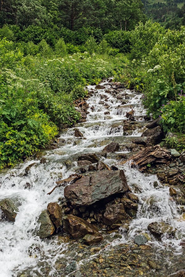 Stream Flows Over Stones among the Dense Grass Stock Photo - Image of ...