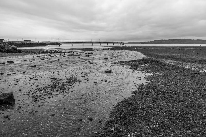 Stream Flows into the Puget Sound. Stock Photo - Image of flowing ...