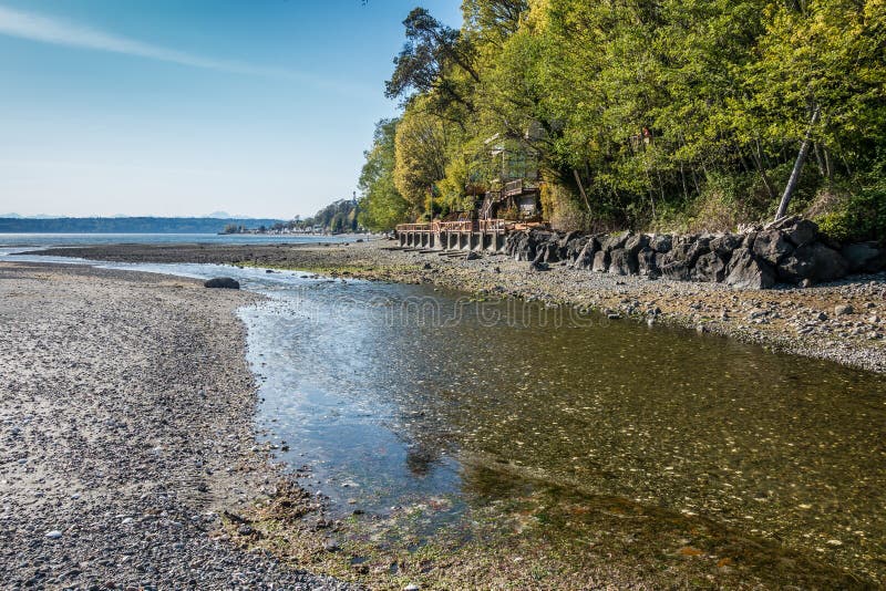 Coastal Stream stock image. Image of park, oudoors, water - 115955917