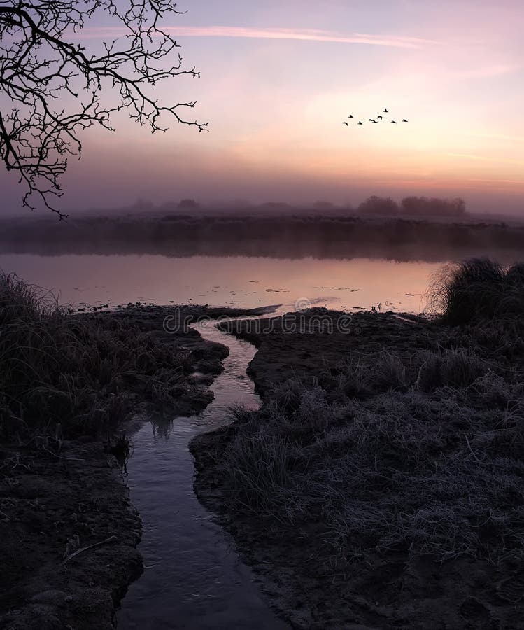The Stream Flows into the River at Sunset Stock Photo - Image of ...