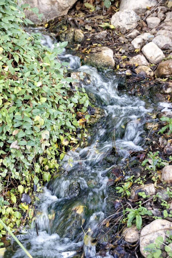 A Stream Flows between Rocks and Bushes, Stock Photo - Image of ...