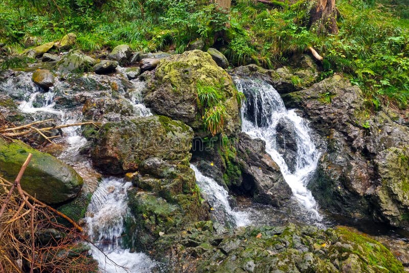 A Stream Flows through the Rocks in the Forest. Cold Clean Water. Stock ...