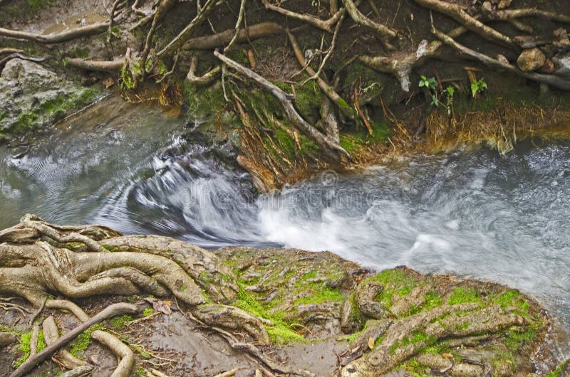 Stream Flows through the Rocks and Tree Roots in the Park Stock Image ...