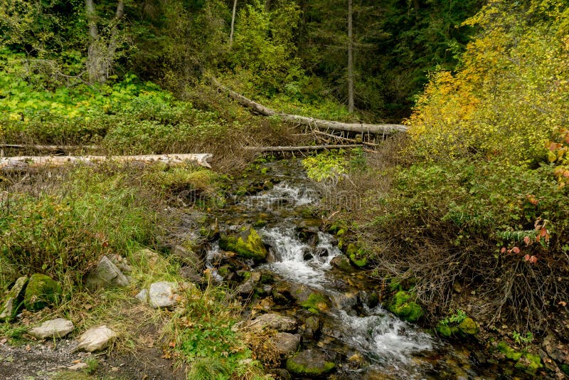 Stream Flows through the Utah Mountains in Autumn Stock Image - Image ...