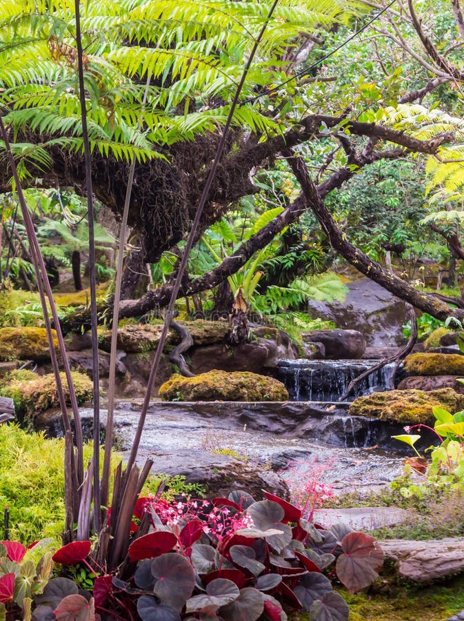 Stream Flows through Wet Garden Stock Photo - Image of floral, outdoor ...