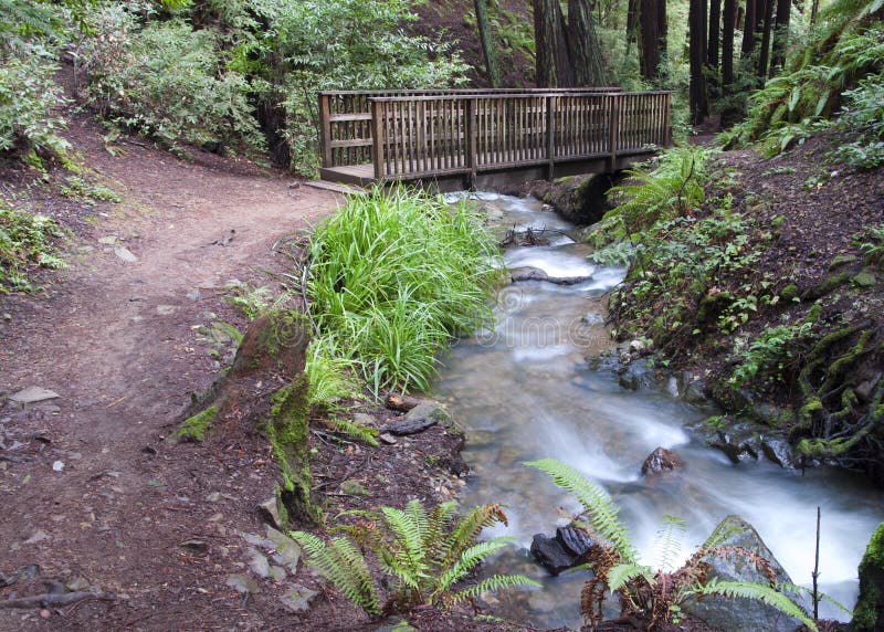 Stream and foot bridge stock photo. Image of brook, creek - 12766926
