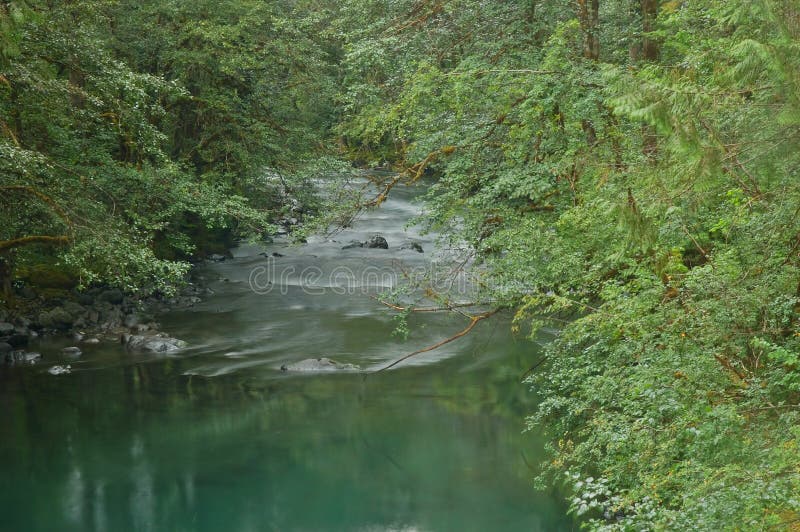 Stream in the forest stock photo. Image of runoff, exposure - 1179908