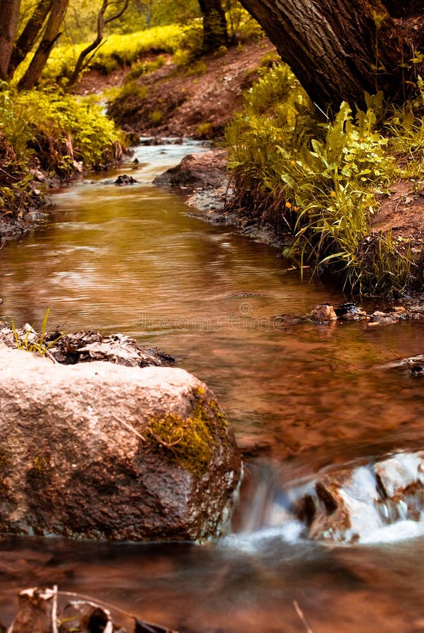 Stream in forest stock photo. Image of colorful, foliage - 14481552