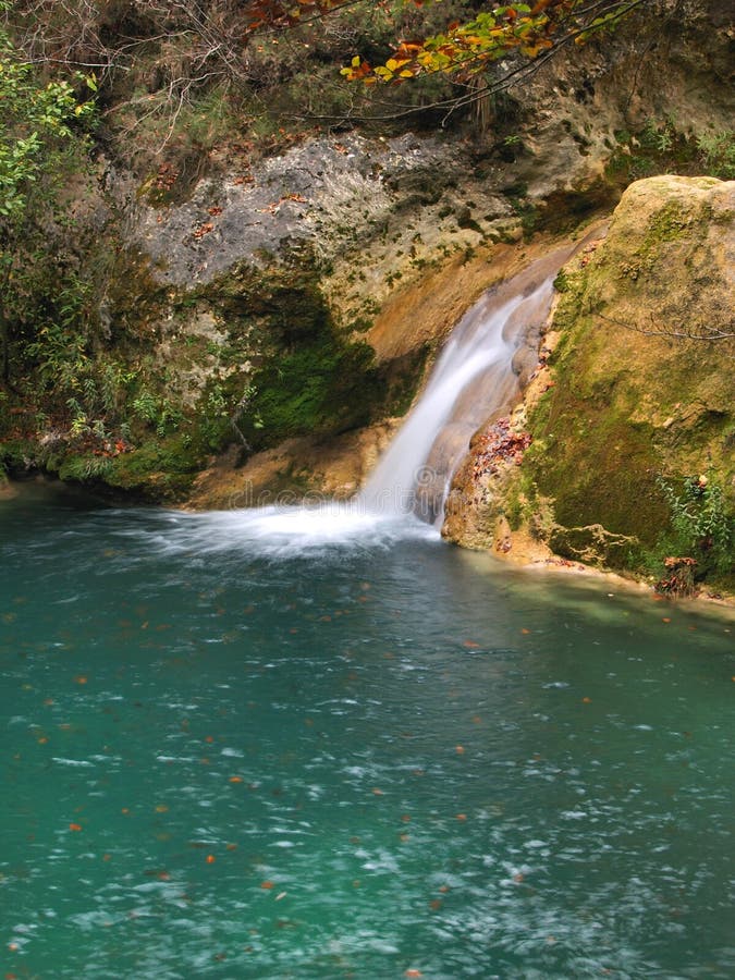 Stream in the forest stock image. Image of gutter, natural - 1521943