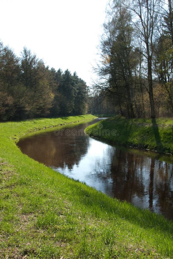 Stream through a forest stock photo. Image of blue, brown - 18183574