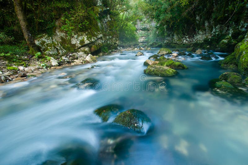 Stream in a forest stock photo. Image of stream, diano - 22620856
