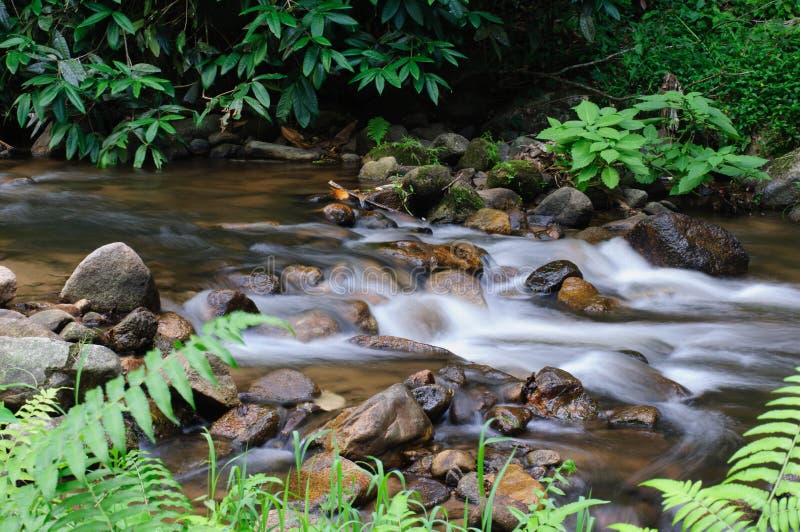 Streamlet stock image. Image of nature, brook, rain, effect - 53908381