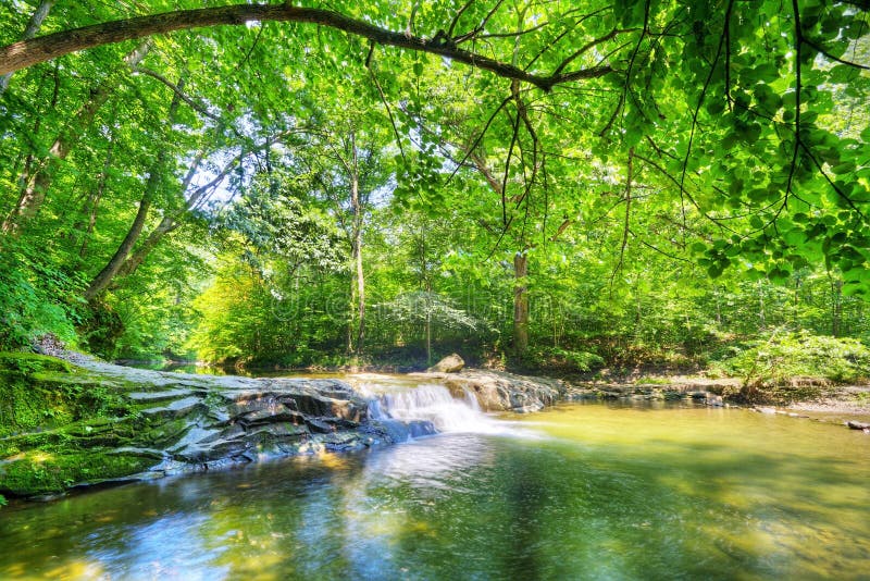 Stream in the forest stock image. Image of empty, rock - 7760993