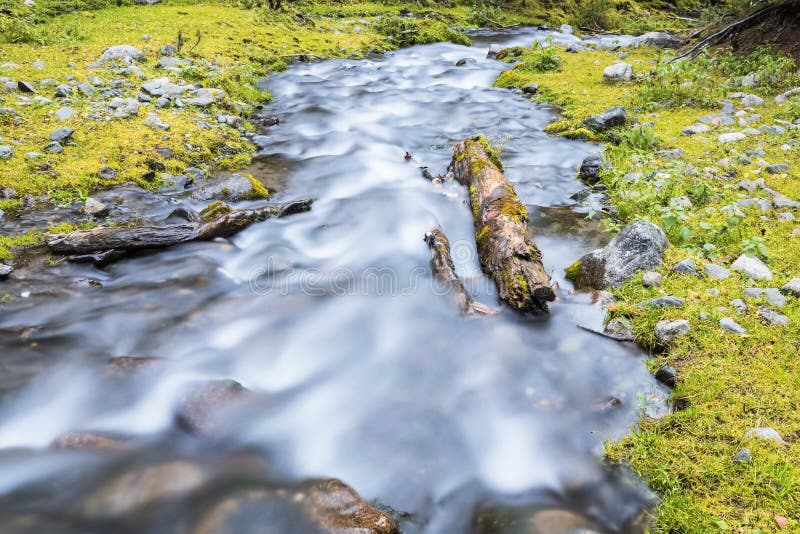 Stream in the forest stock photo. Image of creek, stream - 178128232