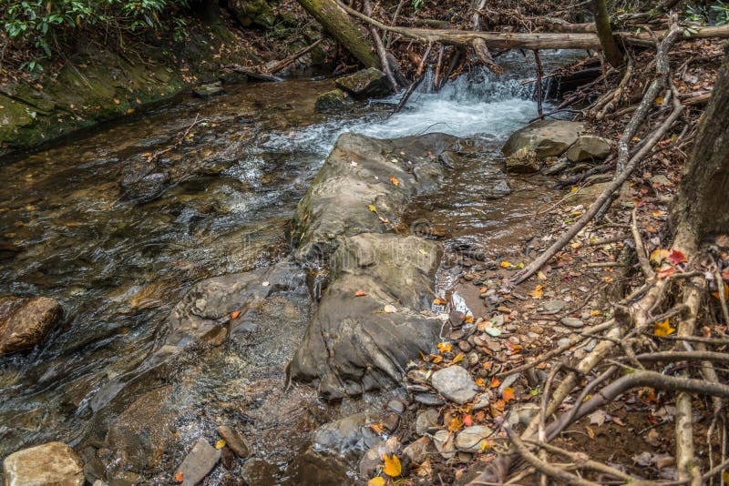 Stream through the Forest Closeup Stock Image - Image of branches, moss ...