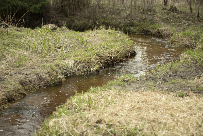 A Stream in the Forest. Fresh Water Flows through a Natural Channel ...
