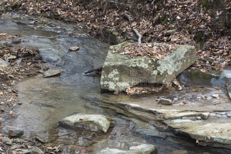 Stream in the Forest with Large Rock Stock Image - Image of leaves ...