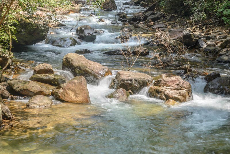 Stream in Forest, Nature Rill Flow Stock Image - Image of wilderness ...