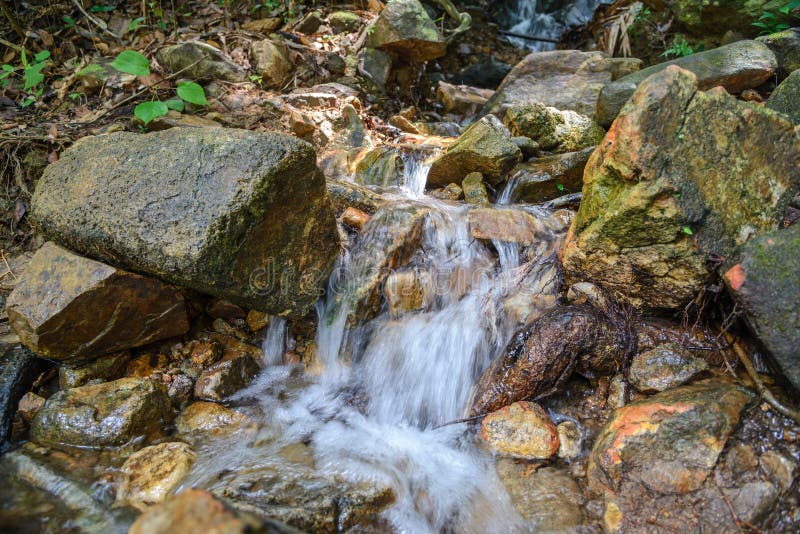 Stream in Forest, Nature Rill Flow Stock Image - Image of beautiful ...