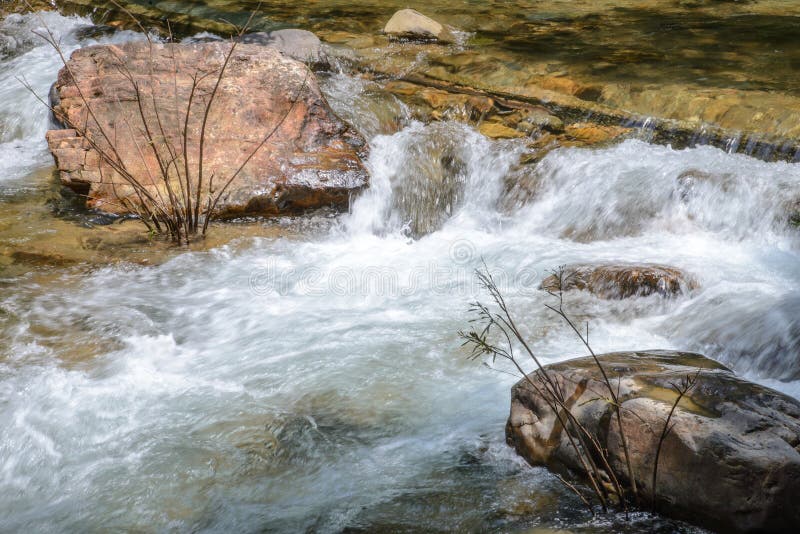 Stream in Forest, Nature Rill Flow Stock Image - Image of cascade ...