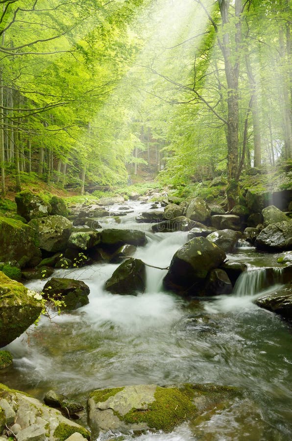 Soft stream stock photo. Image of flow, light, landscape - 20379474