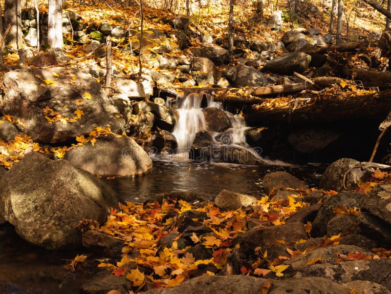 Stream Formed from a Waterfall Captured in a Forest in Fall Colors and ...