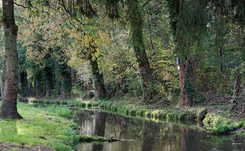 Stream in french country stock photo. Image of picardy - 101989496
