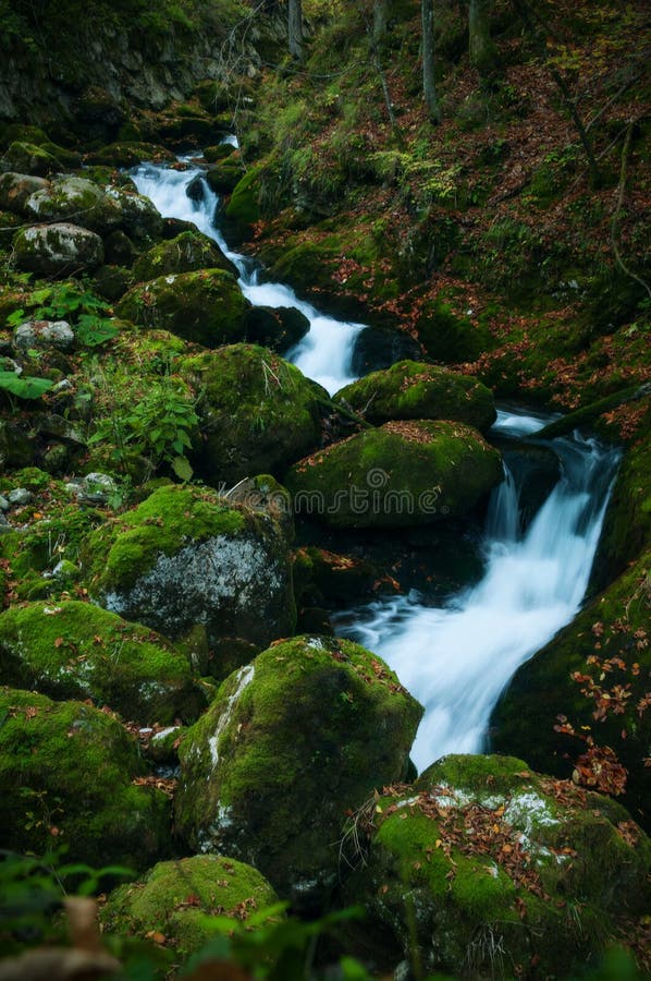 A Stream of Water Flowing Over Mossy Rocks in the Autumn Stock Image ...