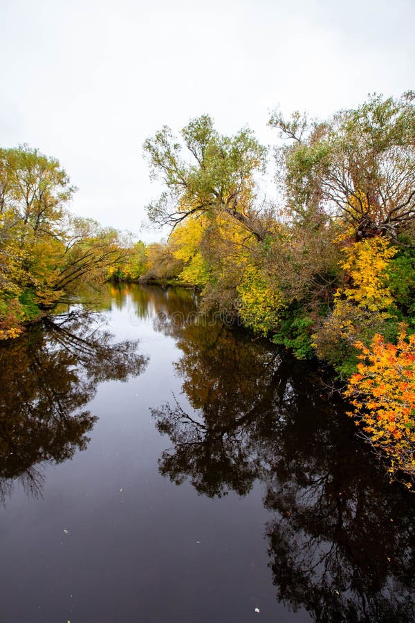 Stream Going through a Colorful Forest in Merril, Wisconsin Stock Image ...