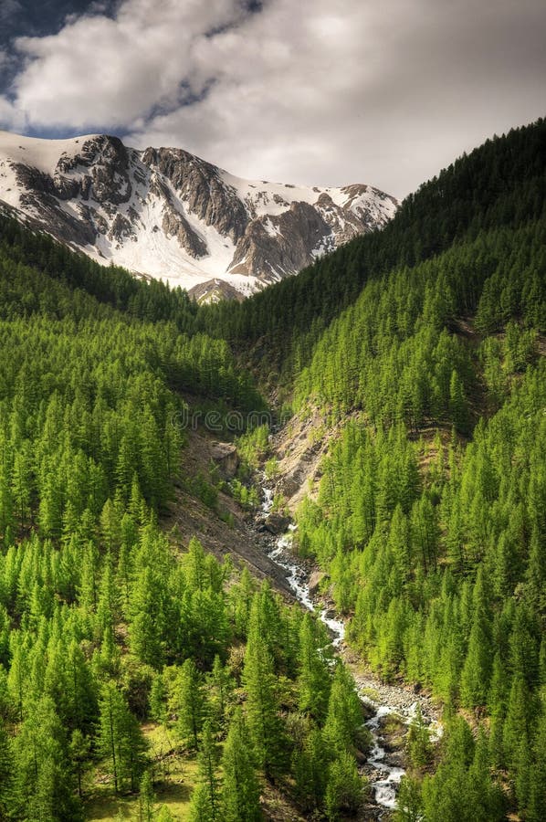Stream in the High Mountains Stock Image - Image of torrent, rock: 9703085