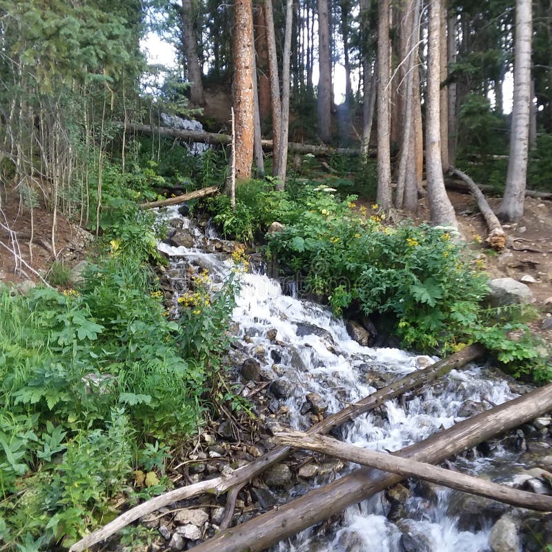 Stream hiking stock photo. Image of trail, little, hiking - 105789720
