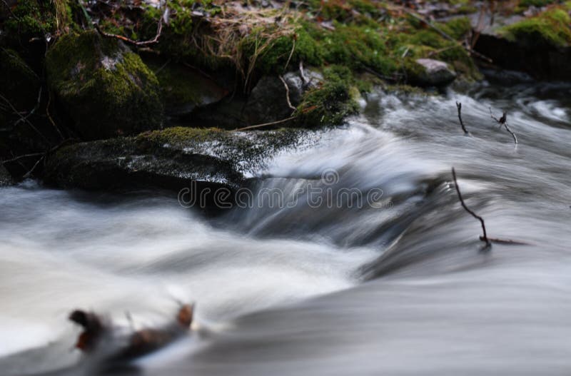 Stream with Ice in the Forest in Winter Stock Image - Image of river ...