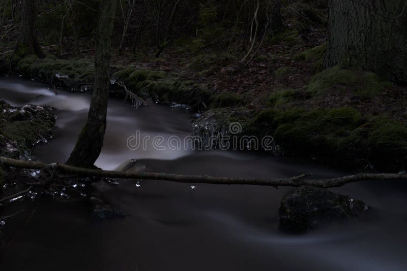 Stream with Ice in the Forest in Winter Stock Photo - Image of ...