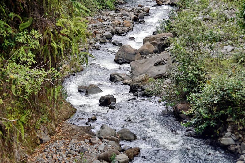 Stream in the Intag Valley stock photo. Image of rosa - 177458452