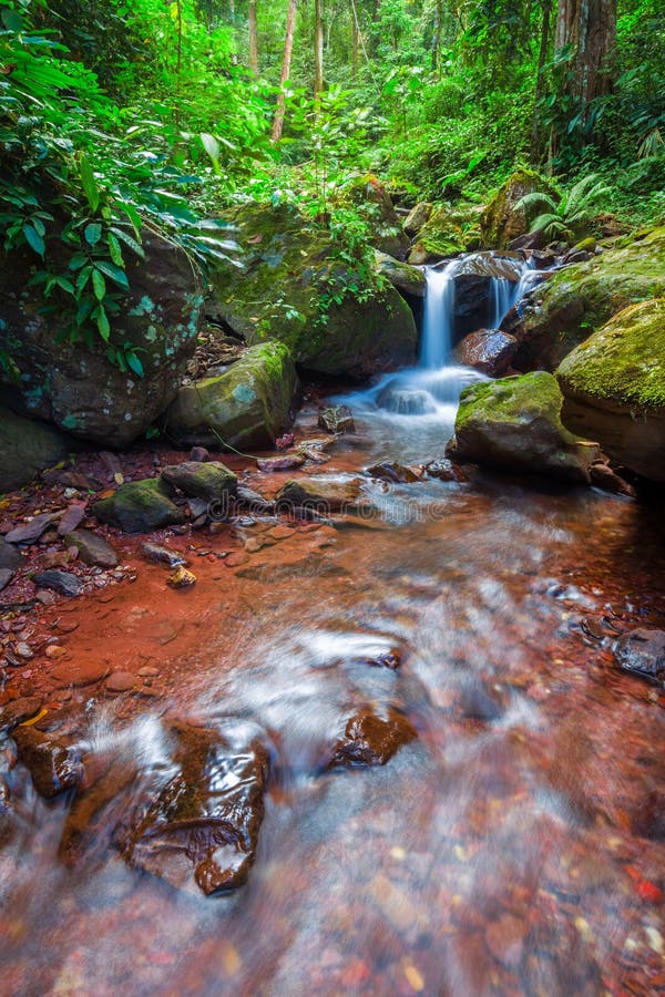 Stream And Jungle Scenery, Costa Rica Stock Image - Image of color ...