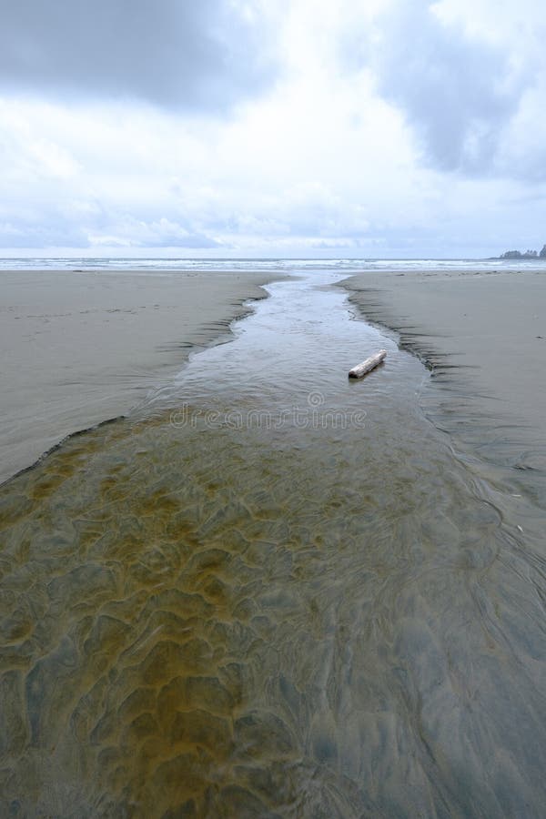 Stream Leading To the Ocean on Long Beach Tofino Stock Image - Image of ...