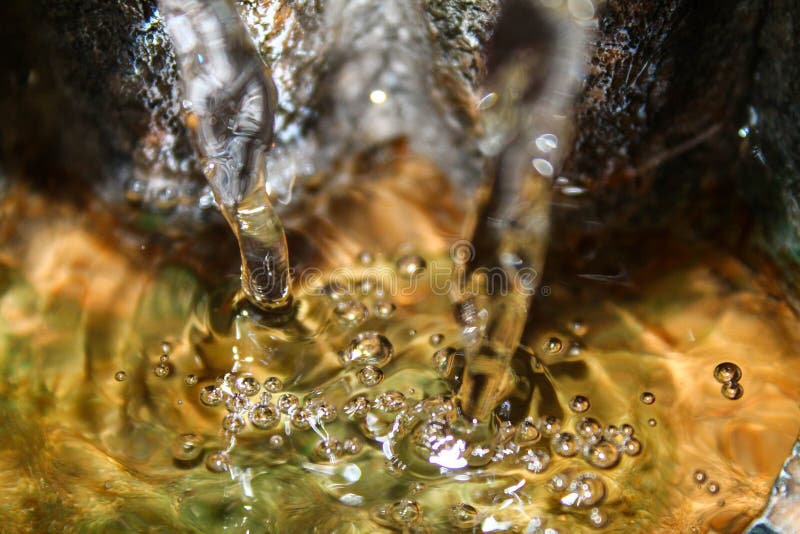 The stream of life stock image. Image of branch, tree - 51775017