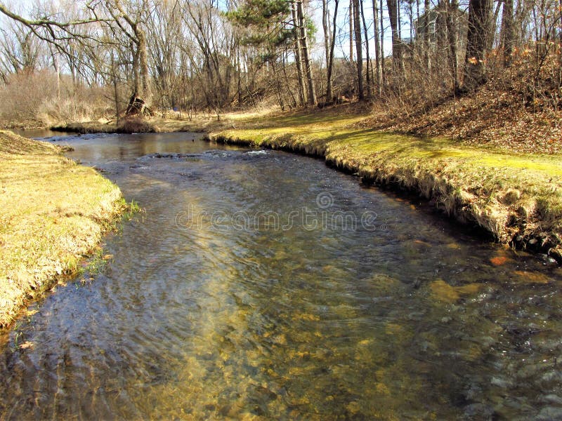 Stream of Life stock photo. Image of stream, small, nature - 90492370