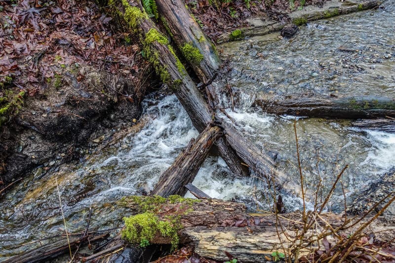 Stream with Logs Landscape 2 Stock Photo - Image of state, brook: 88294674