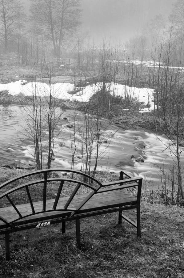 At the stream stock photo. Image of forest, bench, spring - 37359588