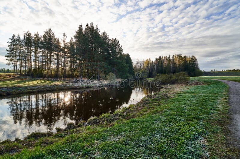 A Stream Running through a Grass Covered Field by the Trees Stock Image ...